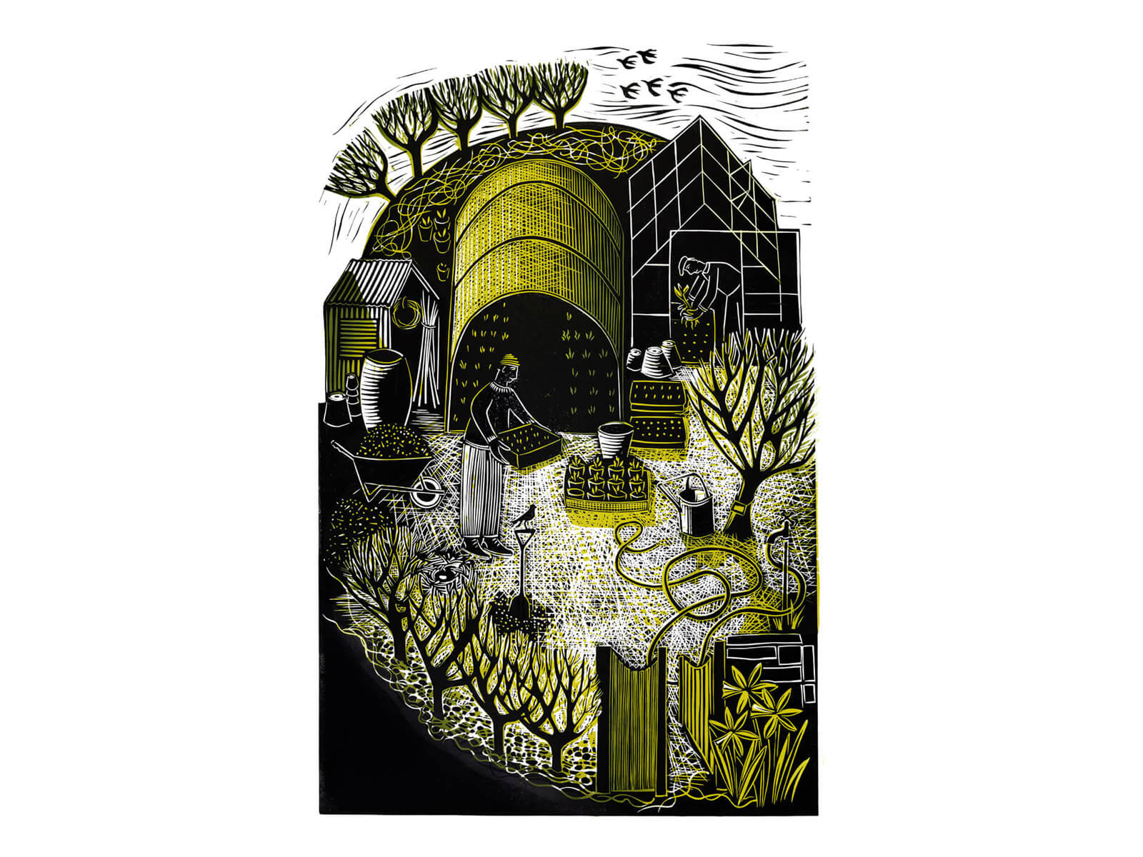 Spring Collection at the New Ashgate Gallery – Sarah Kirby